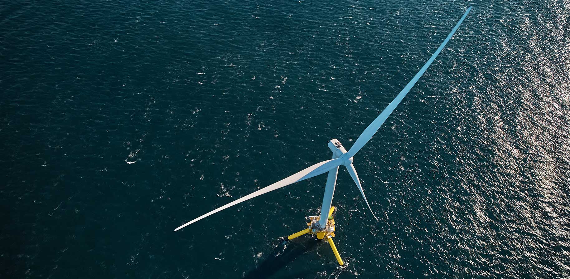 Canopy offshore wind farm